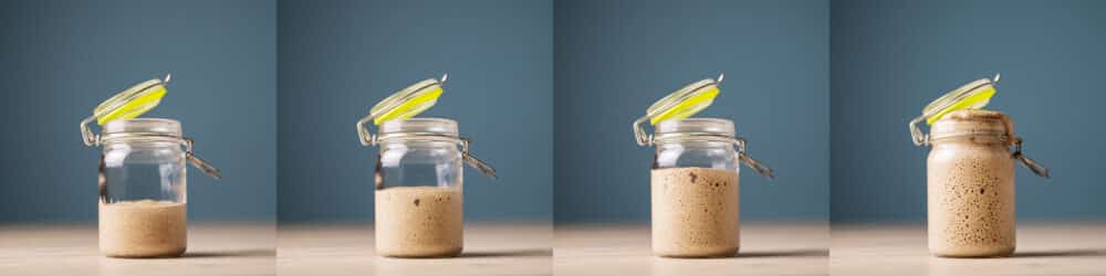 Is Yeast Aerobic or Anaerobic? - Explore Yeast