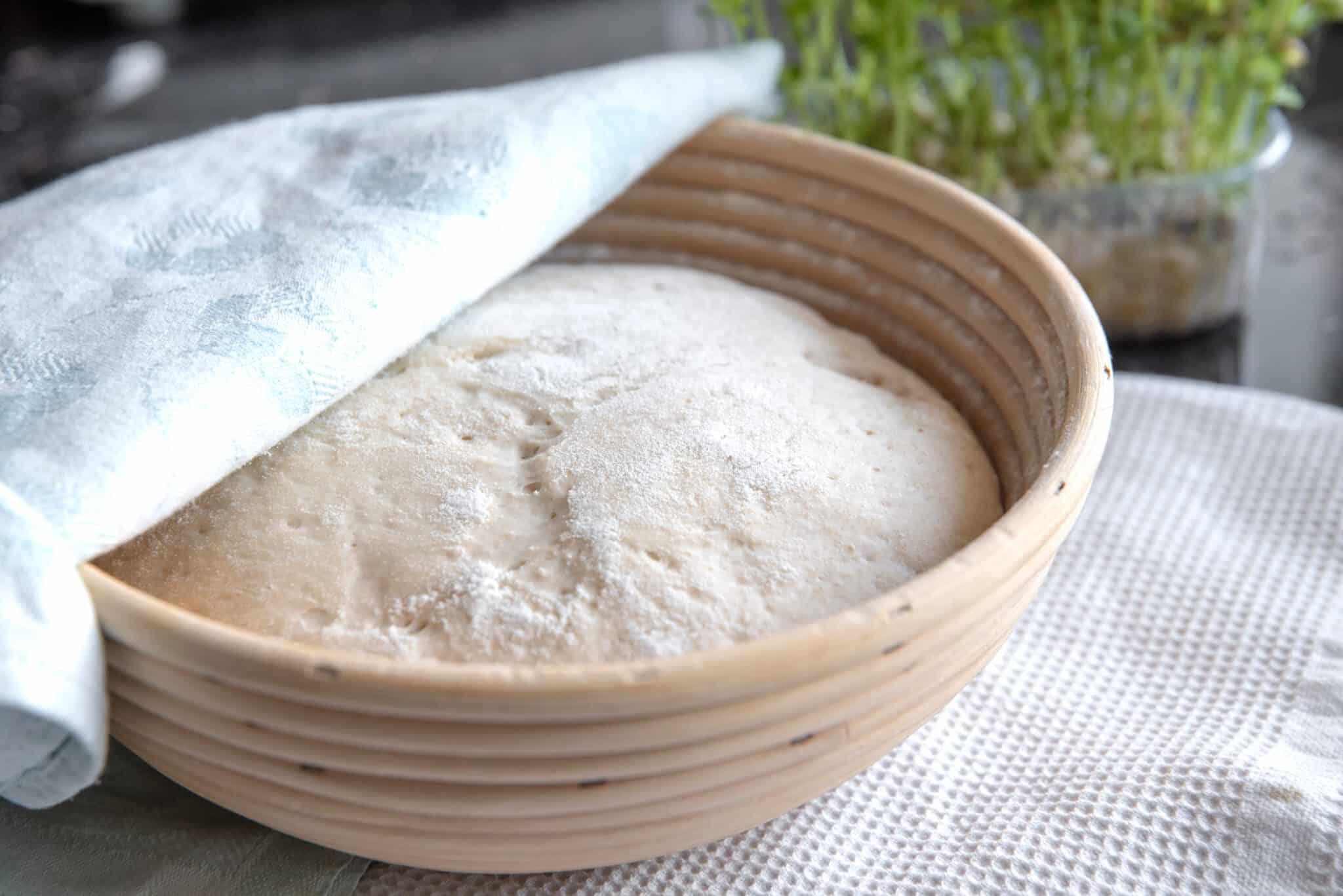 The Magic of Breadmaking! - Explore Yeast